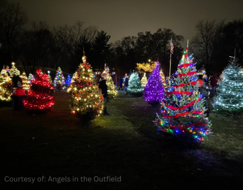 Trees of Remembrance Lighting | Village of Caldwell
